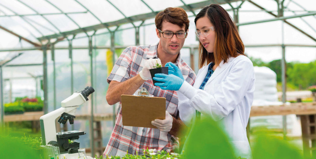 environmental-science-minor - FONTAGRO Digital