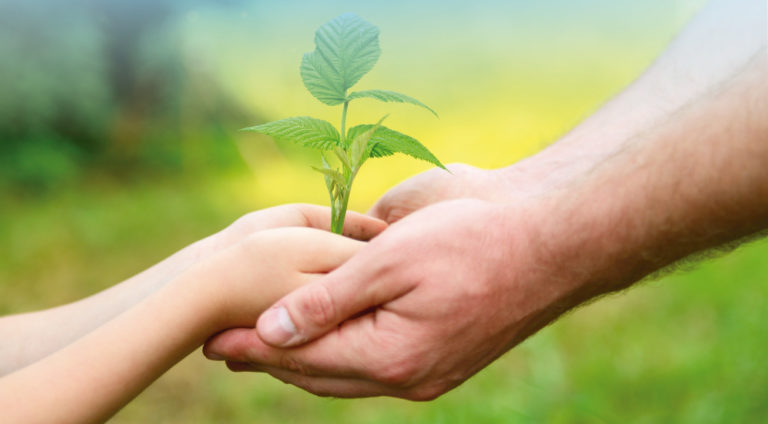 fontagro-header-2017 - FONTAGRO Digital