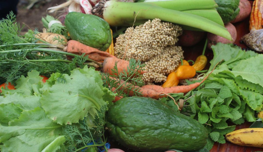 portada - FONTAGRO Digital