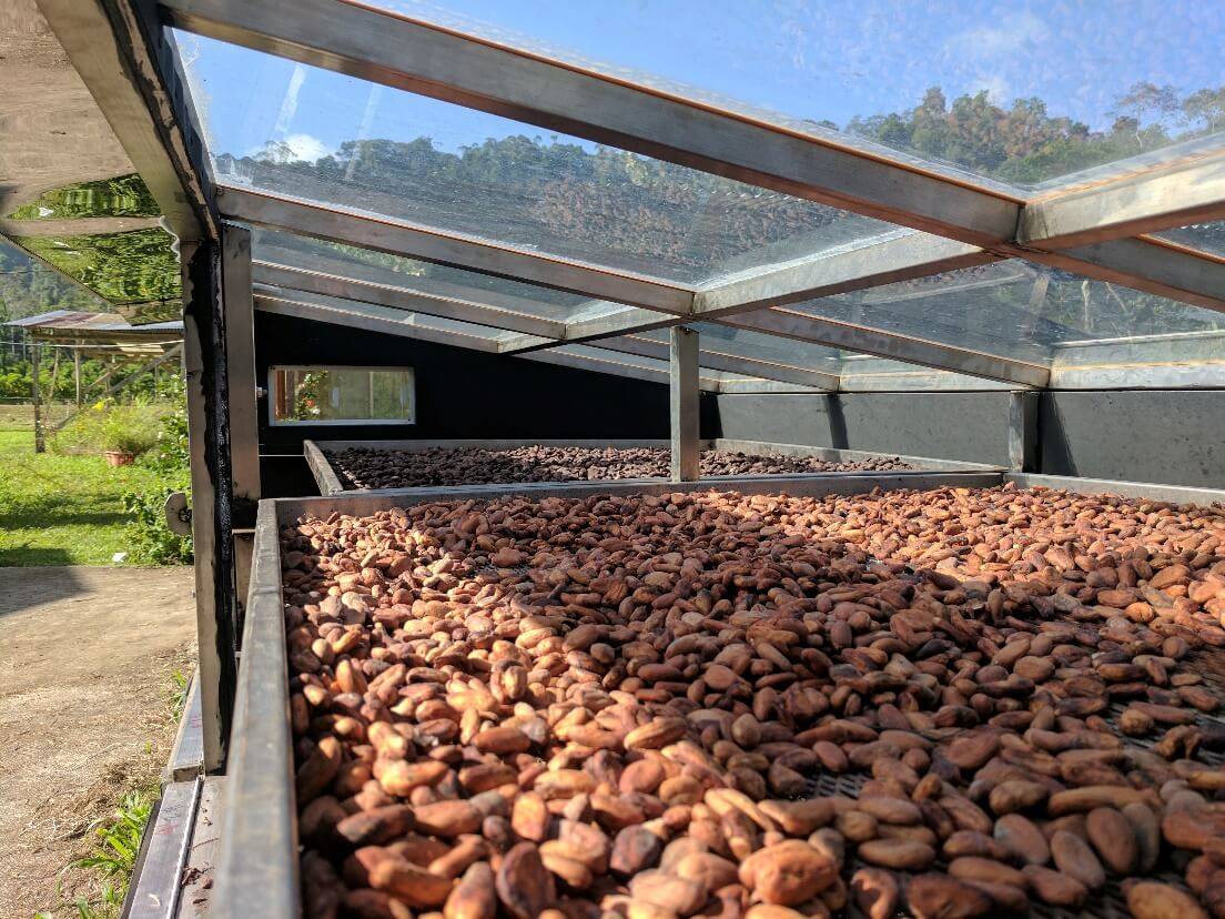 14892 - FONTAGRO Digital