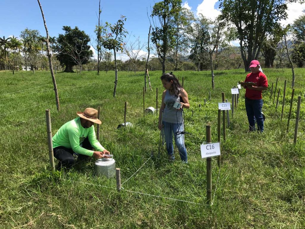 galeria - FONTAGRO Digital