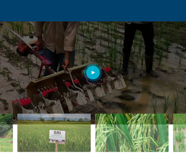 videos - FONTAGRO Digital