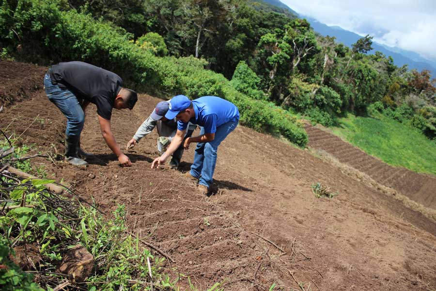 galeria1 - FONTAGRO Digital