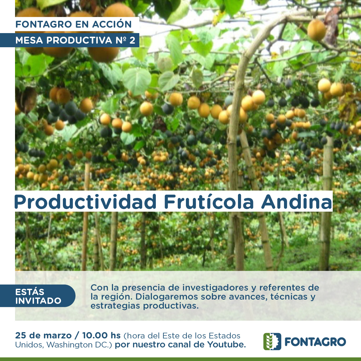 FONTAGRO en acción - FONTAGRO Digital